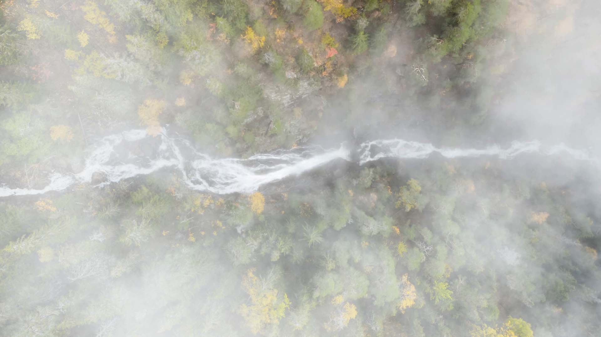 The Water | Hima Seafood